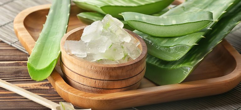 Heres Why You Should Apply Aloe Vera Gel On Your Face Everyuth Blog