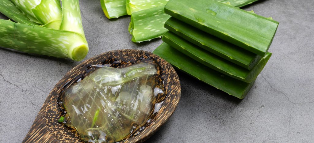 The Magic Of Aloe Vera Gel In The Winters Everyuth Blogs